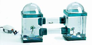 Grow A Frog Kits – Smart Chick Teacher's Blog